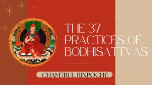 Chamtrul Rinpoche - Teaching Library