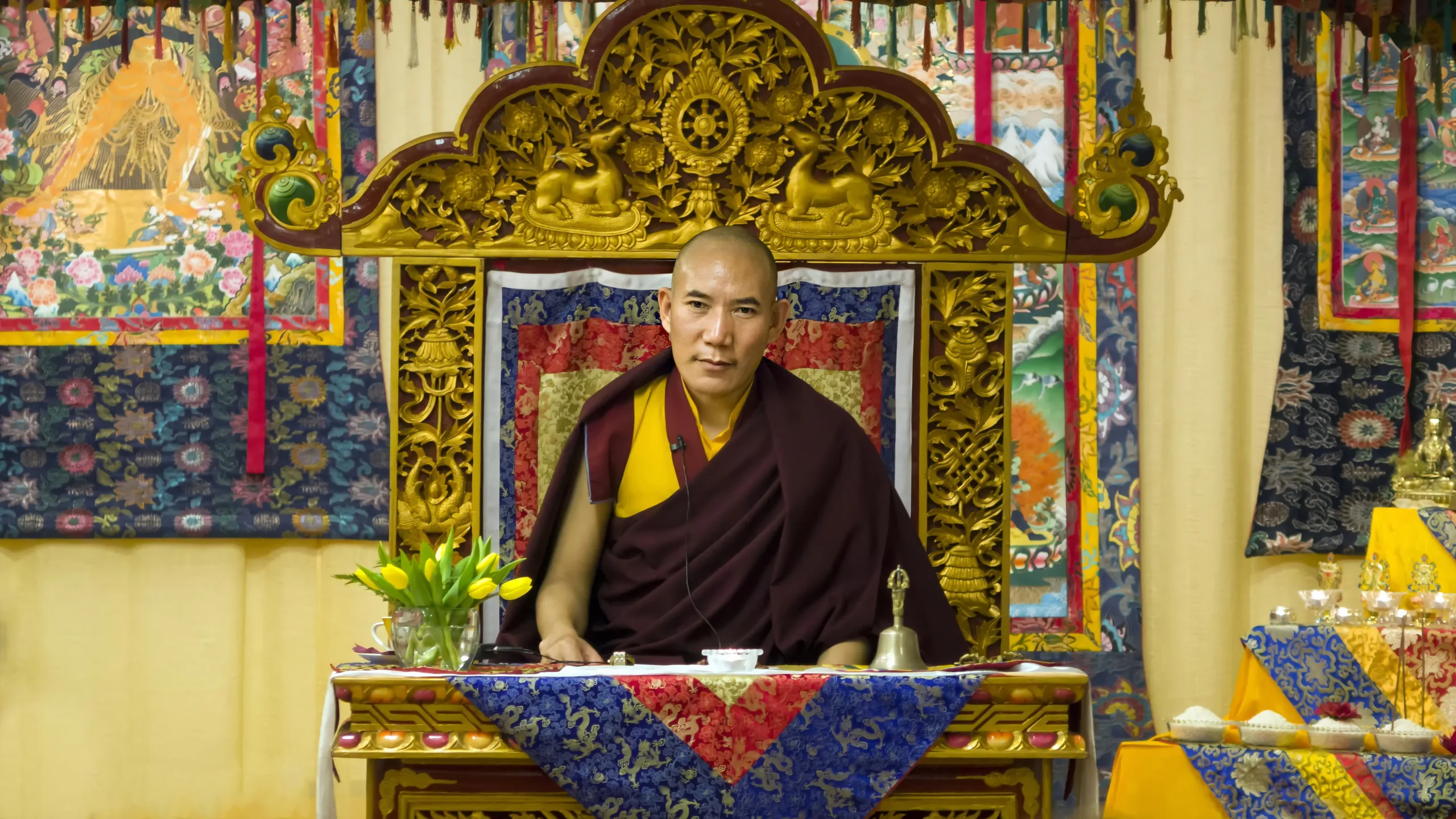 The International Website of Chamtrul Rinpoche