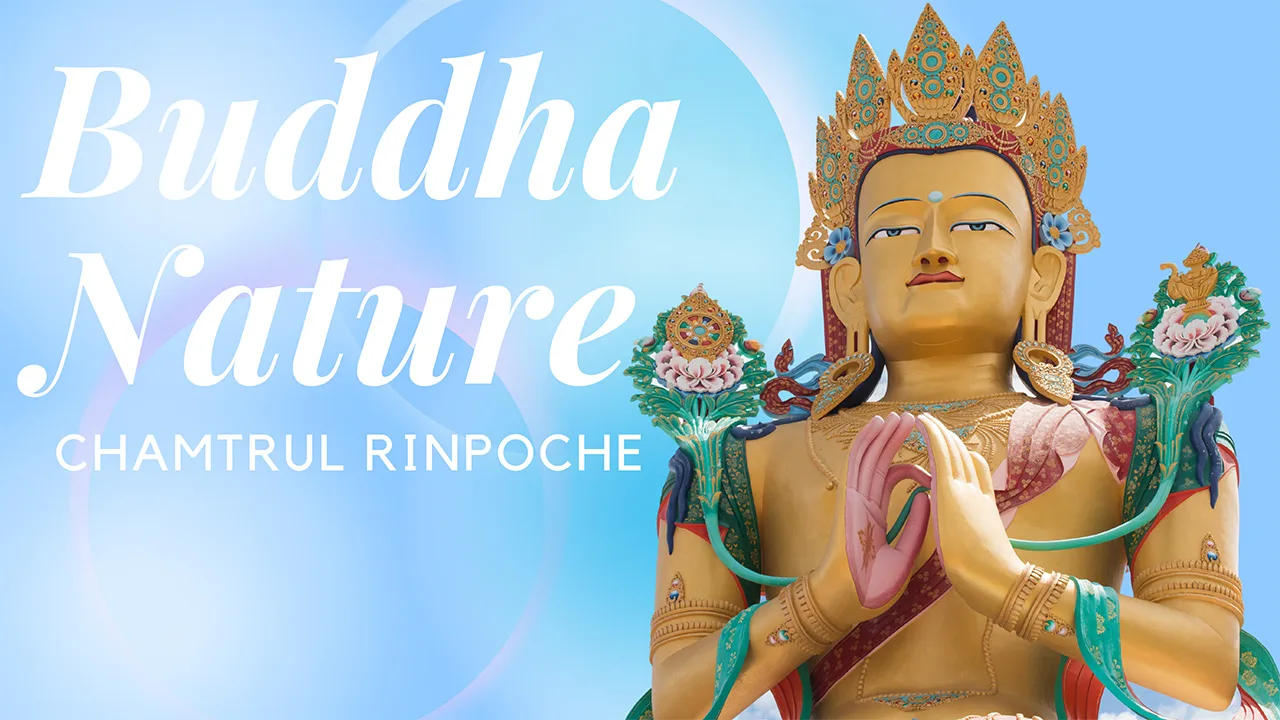 Buddha Nature - Chamtrul Rinpoche