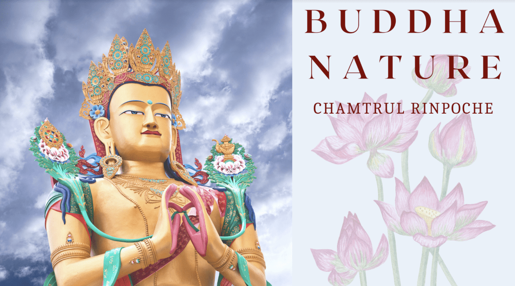 Buddha Nature - Chamtrul Rinpoche