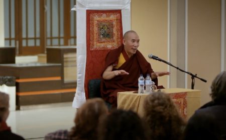 Chamtrul Rinpoche - Teaching Library